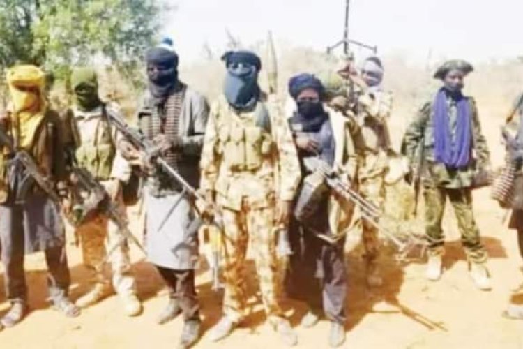 BREAKING: Bandits Gun Down Over 60 Vigilantes In Kebbi - Fulani News Media